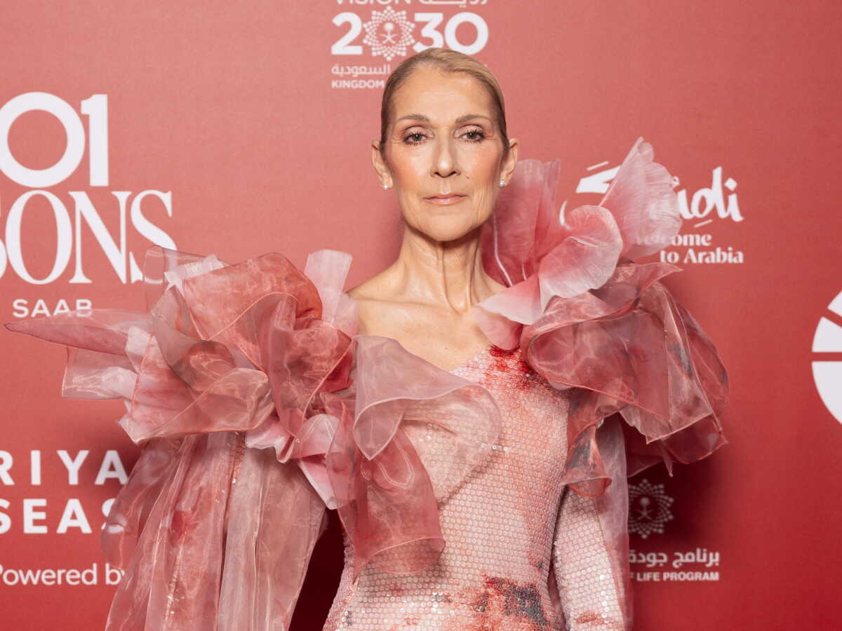 « Je me lance… » : la décision de Céline Dion qui change son image aux ...