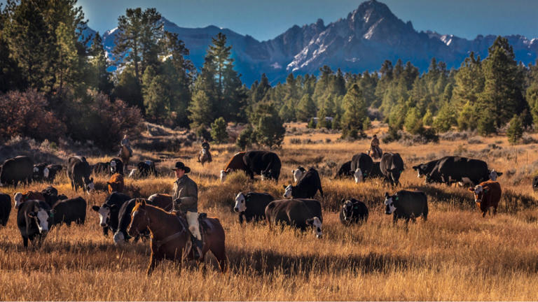 The rural land trend showing up again, ranches are being protected ...
