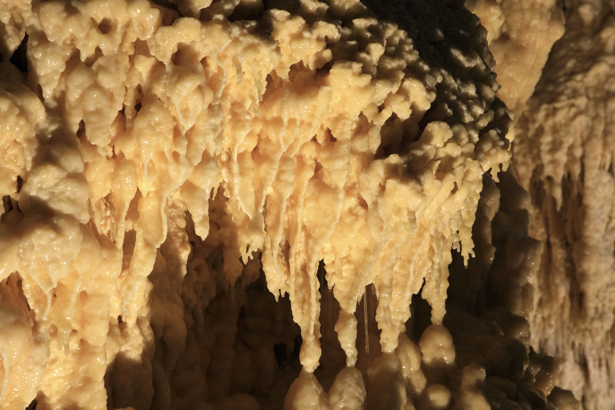 Caves that hold ancient climates