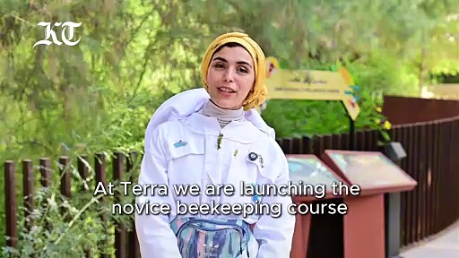 Honey bee