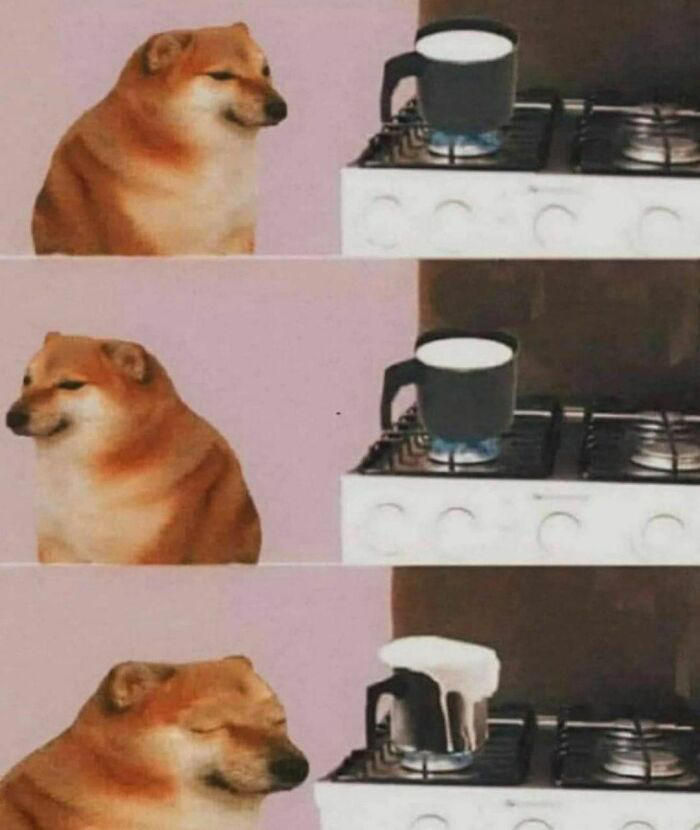 “I would prefer not to”: 45 pics that might confuse you or make you laugh