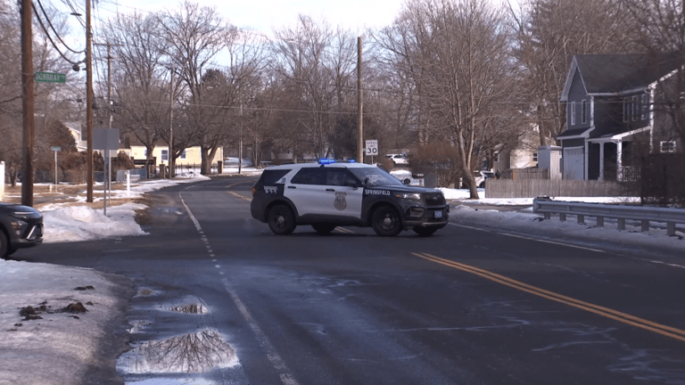 Crisis negotiation leads to peaceful resolution in Springfield