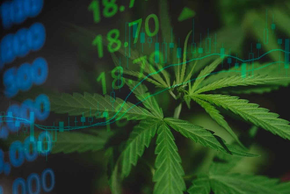 Cannabis market 2025 year-end review