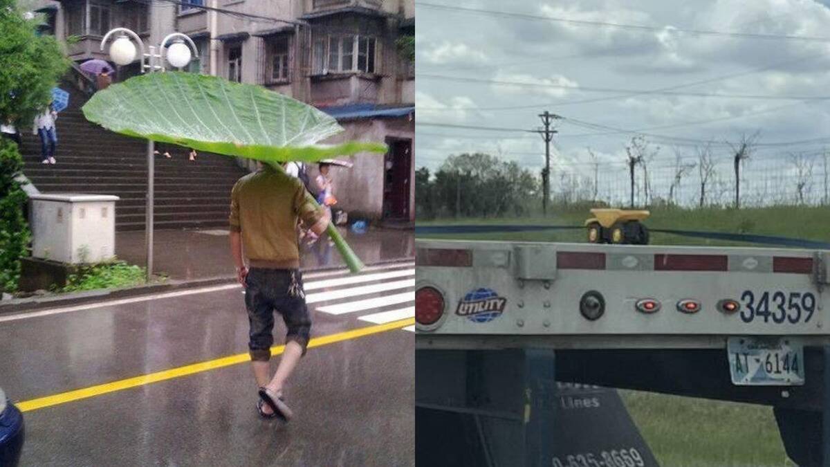 23+ people who are not afraid to show their goofy side