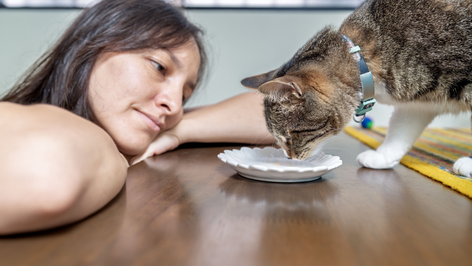Your cat wants you to watch him eat: Here’s why (and yes, it goes ...
