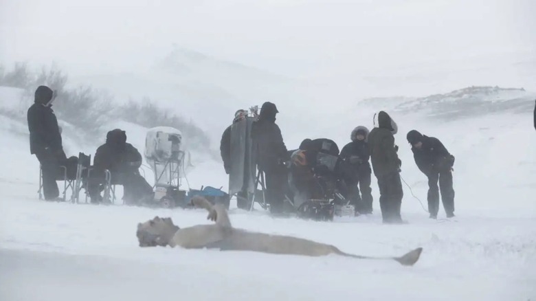 10 best movies set in Alaska, ranked