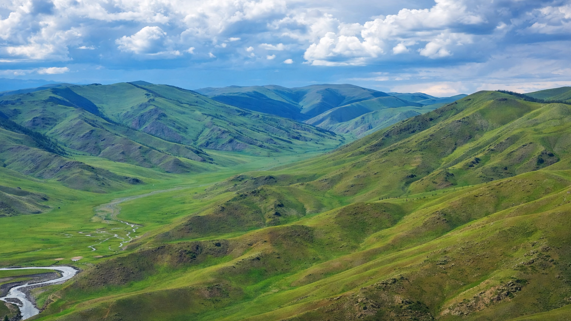 The green waves of Mongolia