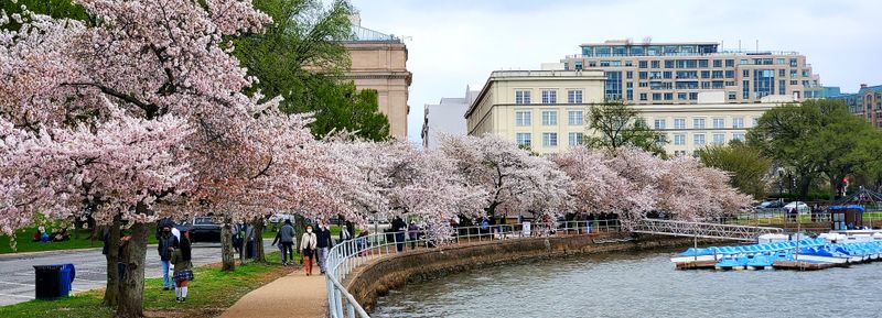 The factors that make Washington, DC easy for tourists to get around