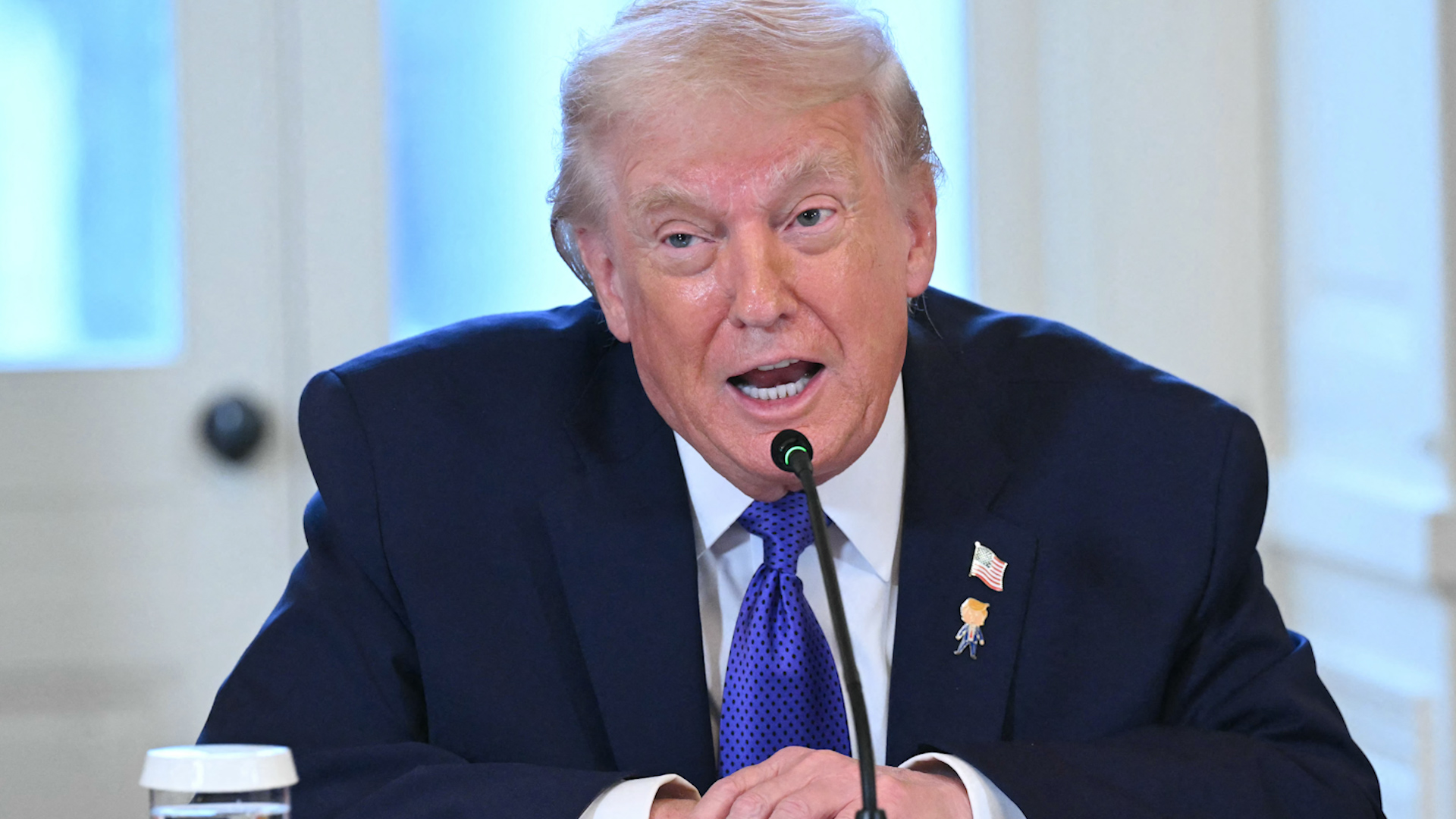 Trump calls woman at ICE shooting scene 'paid agitator'