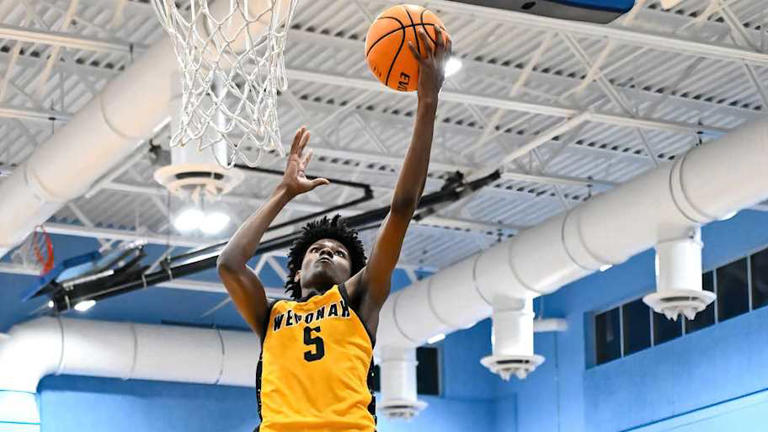 Montgomery Area High School boys basketball schedule & scores - January ...