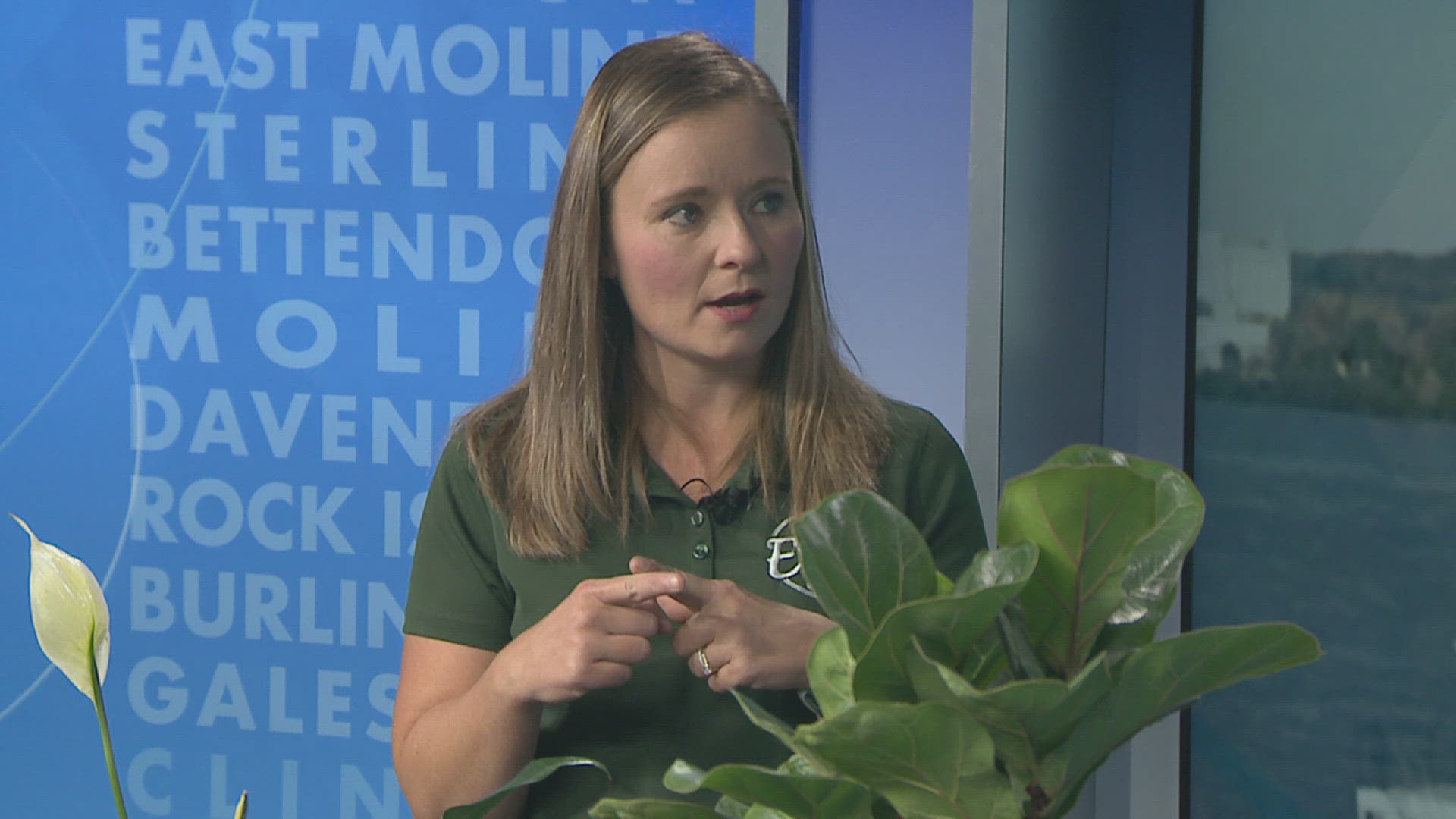 Eve's Garden and Greenhouse launched new program for dead plants