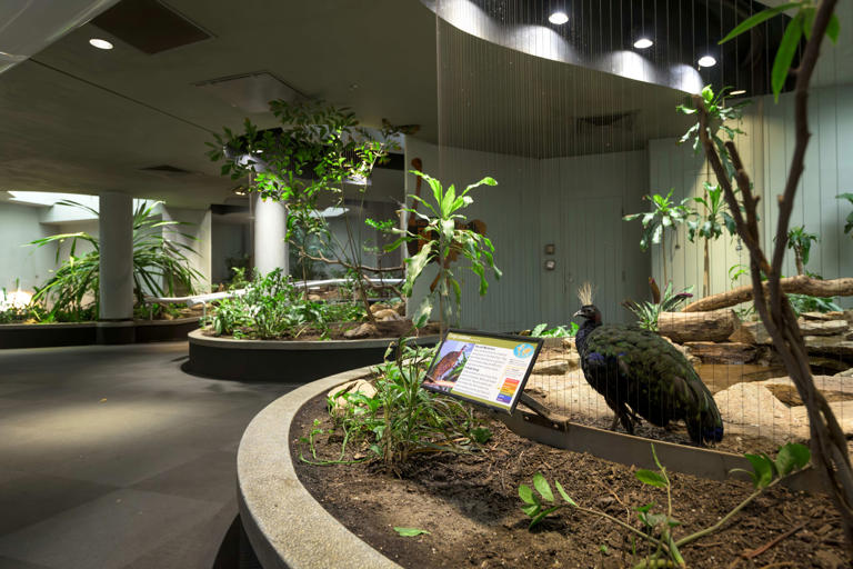 Historic bird house at the Saint Louis Zoo to be renovated