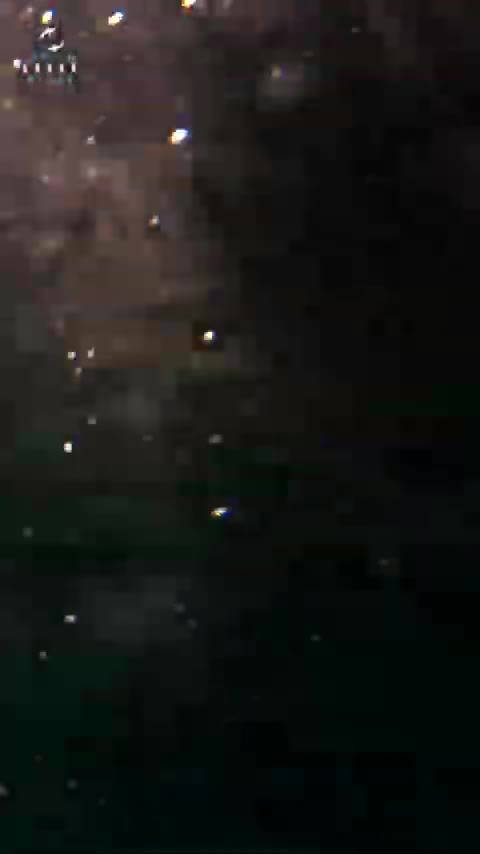 Great white shark rolled her eye back