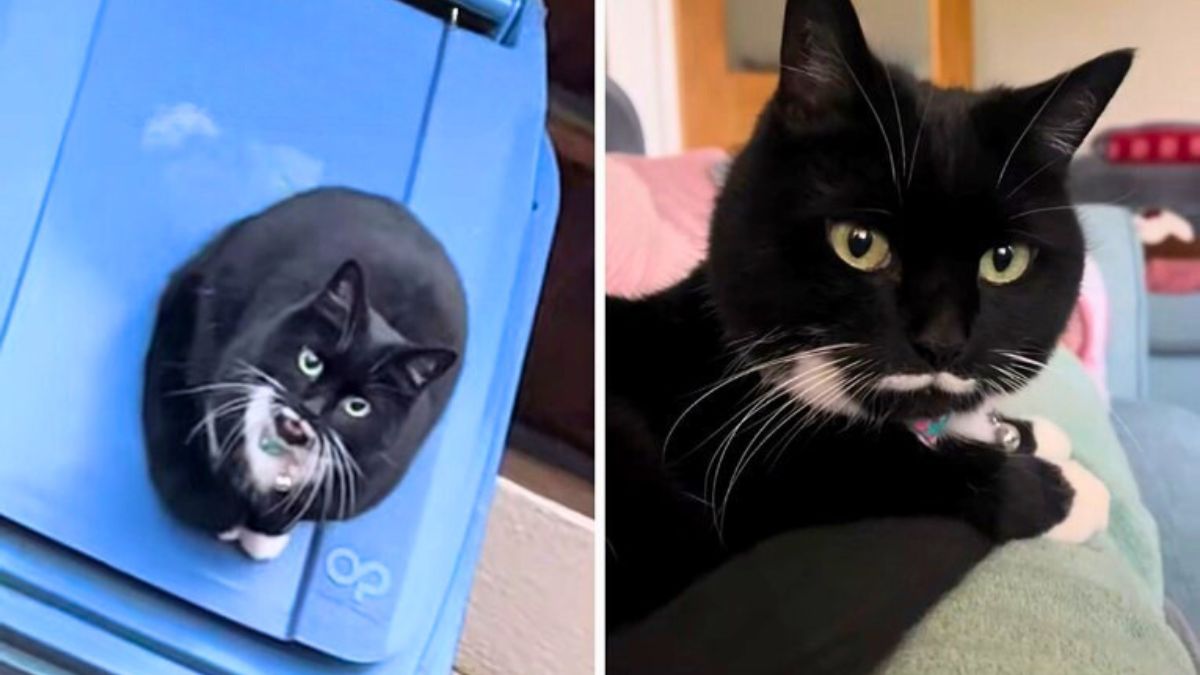 When Winnie discovered the outdoors is overrated