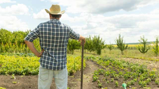 Rancher shows off unconventional way homeowner cleaned 40 acres of ...