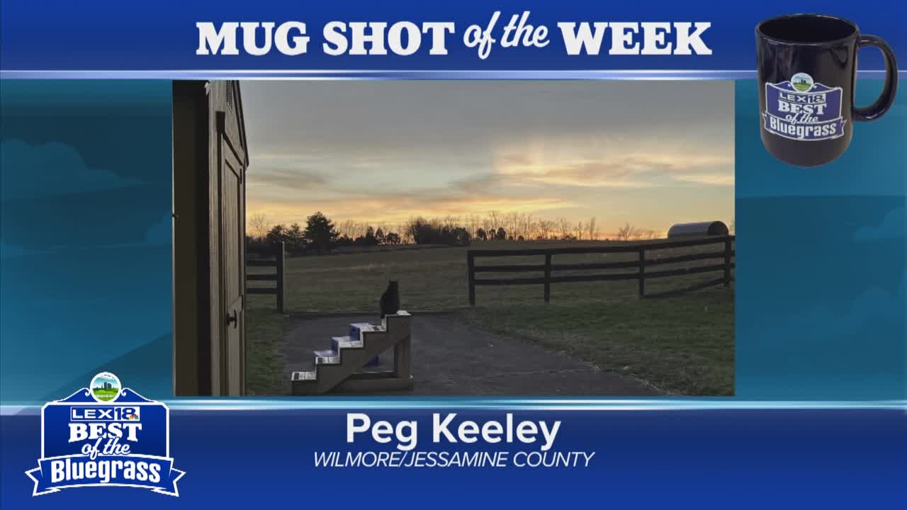 Mug shot of the week: Peg Keeley