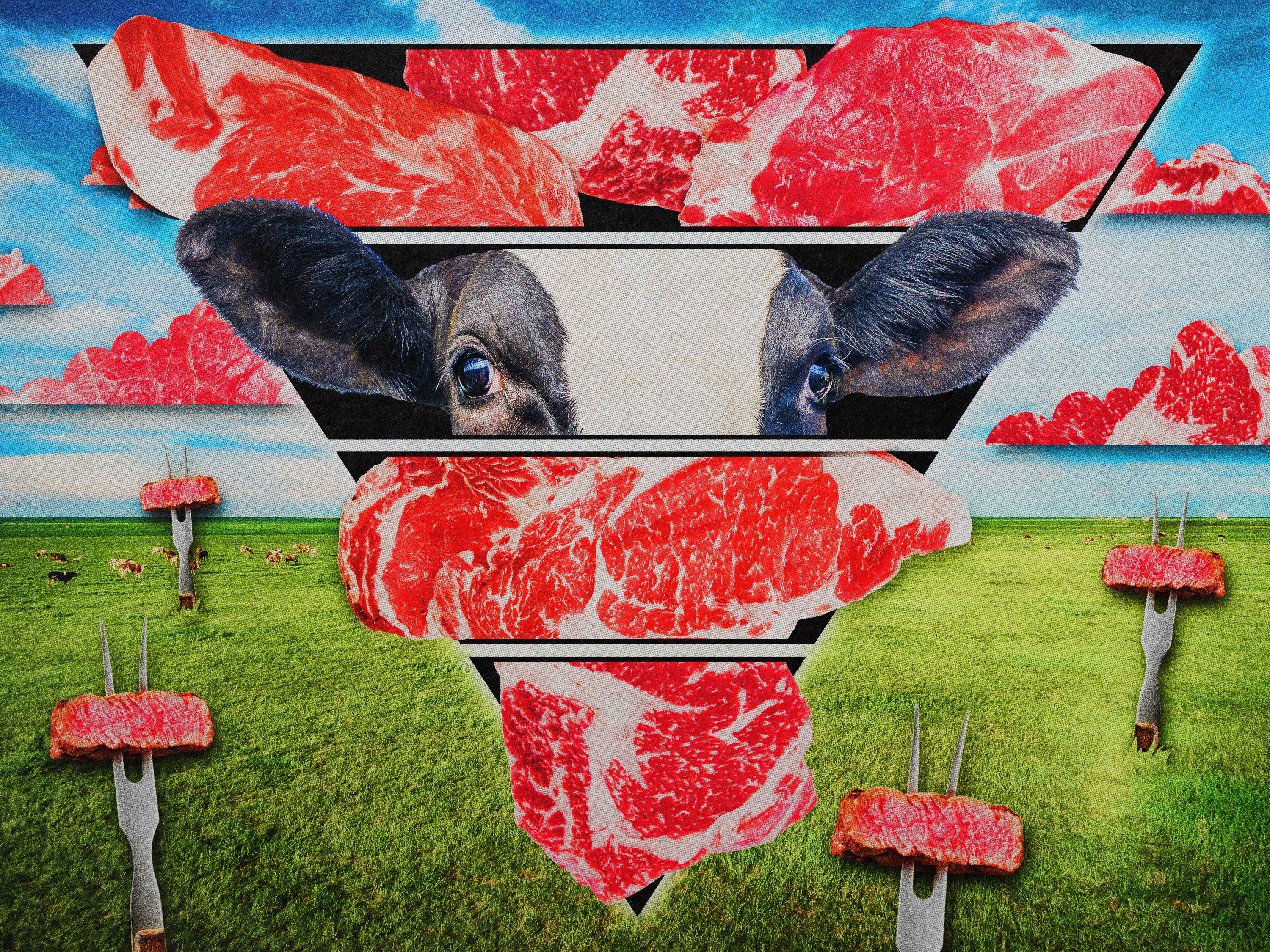 The food pyramid is back, and beefier than ever. Is that a good thing?