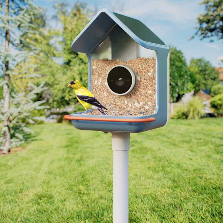 10 smart home gadgets you'll actually use at home