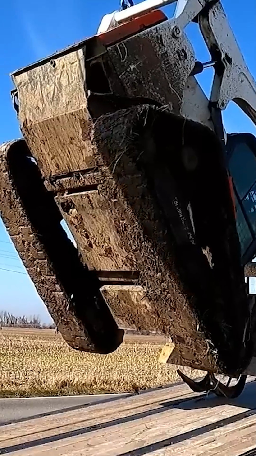 Caught in the act: a cat burglar moment