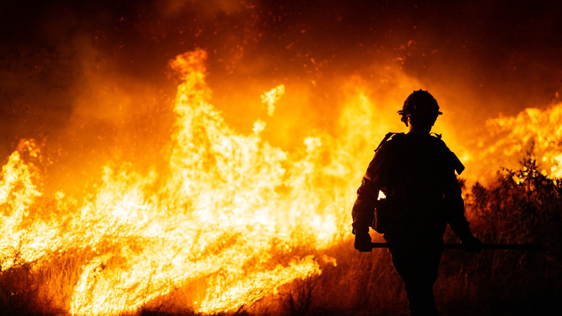 Jacob Soboroff details experience covering the catastrophic California ...