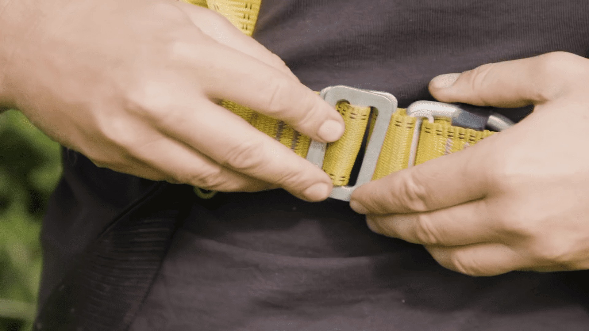 The living art of hedge cutting at Powis Castle and Gardens