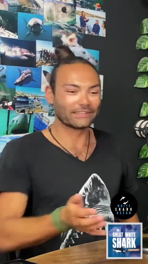 The Great White Shark Experience podcast, episode 3 - Tony meets Speckles