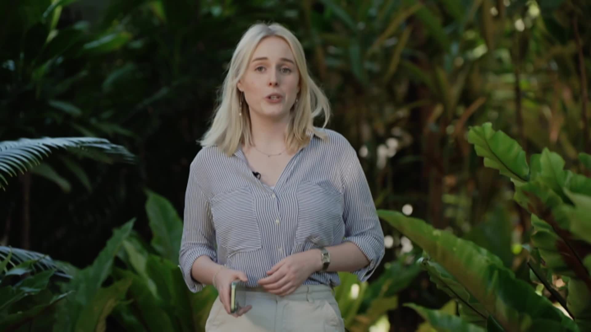 Insect enthusiasts helping researchers keep an eye on bug populations