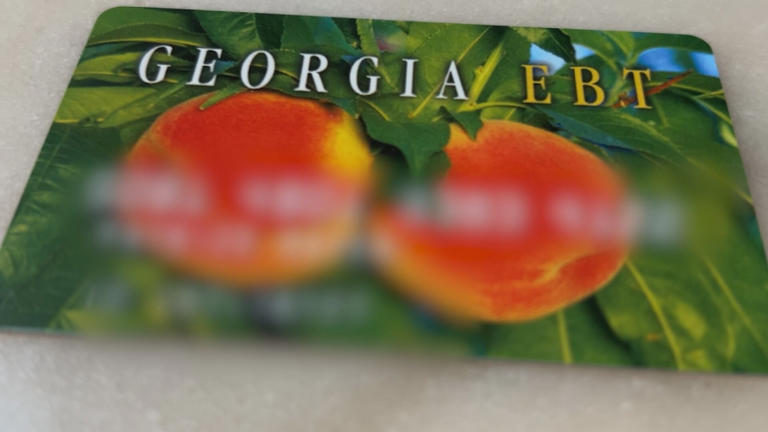 Georgia bill would ban SNAP benefits from paying for junk food
