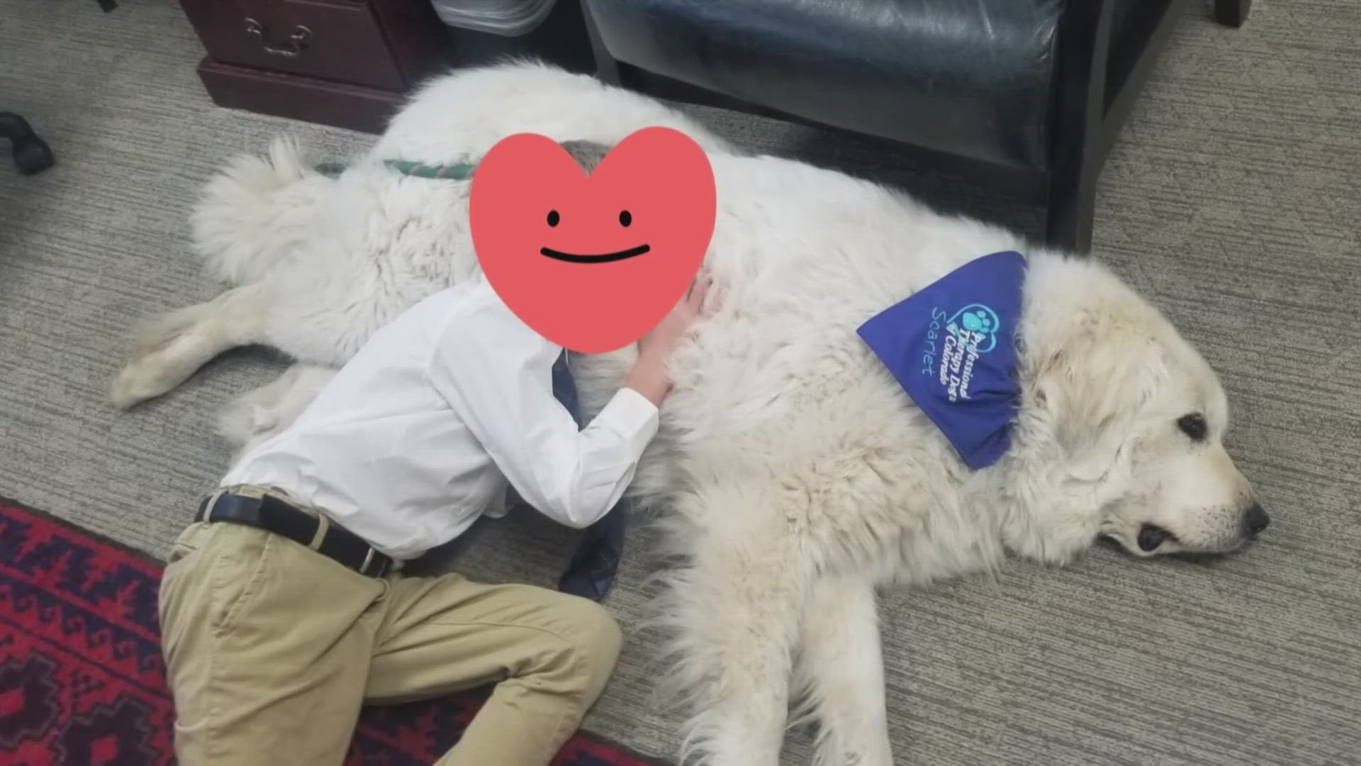 Evergreen therapy dog back home after going missing for 18 days