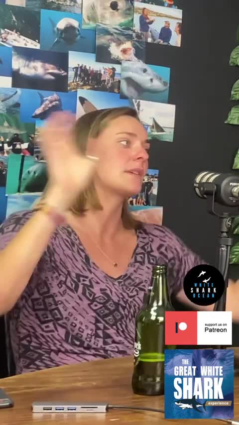 The great white shark experience, episode 5 - Lacey, 43 predations