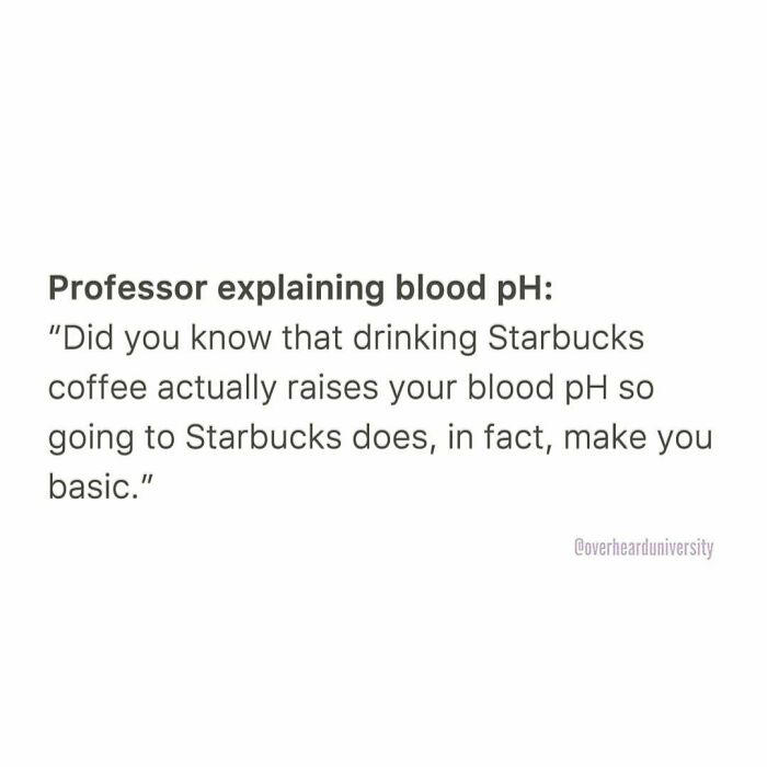17 Funny Conversations That People Overheard At University & Just Had ...