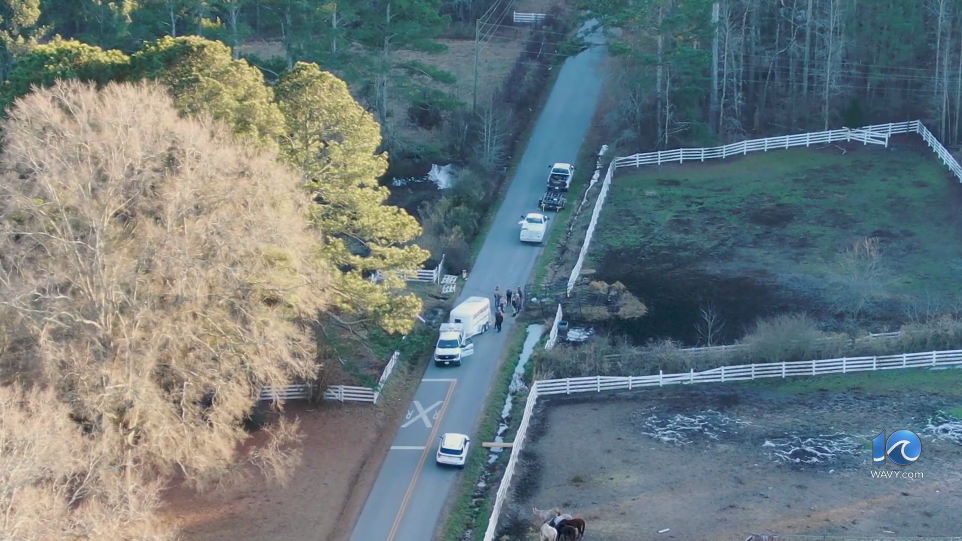 Suffolk animal neglect investigation