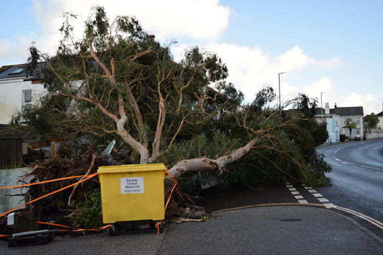 Amber warnings as Storm Goretti brings snow to the UK