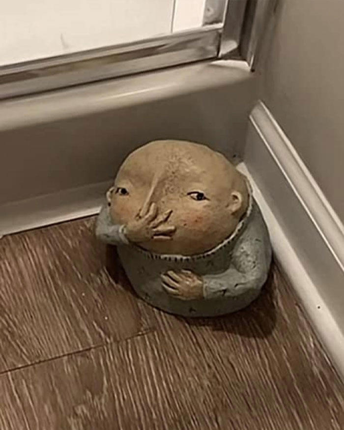 No context required: 45 funny images that defy explanation