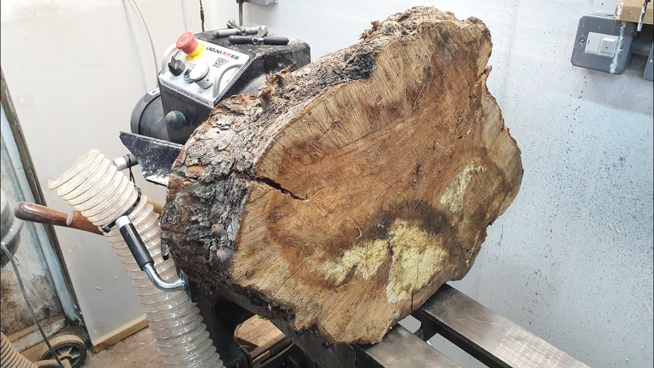 Discovering surprises in twisted wood