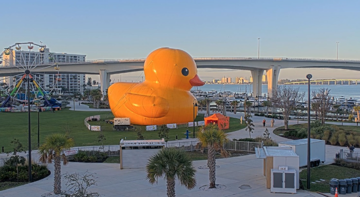 “Mamá Duck”, el pato de goma más grande del mundo, llegó a Clearwater