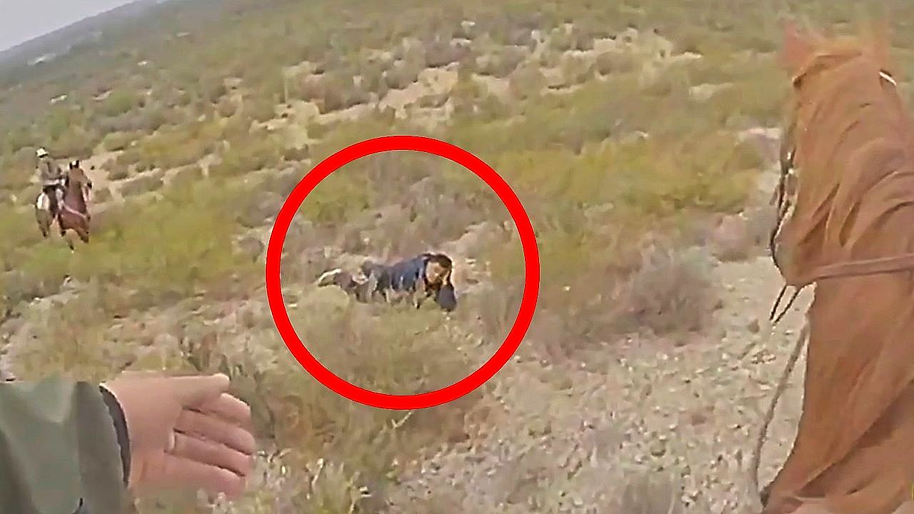 Mounted troopers close in after camera alert on remote Texas ranch