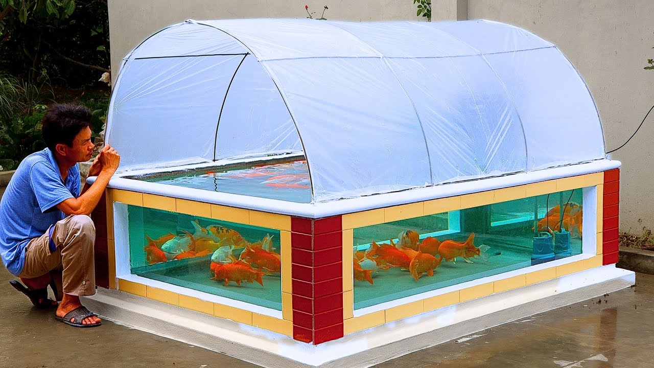 Design a fish tank with sunshade