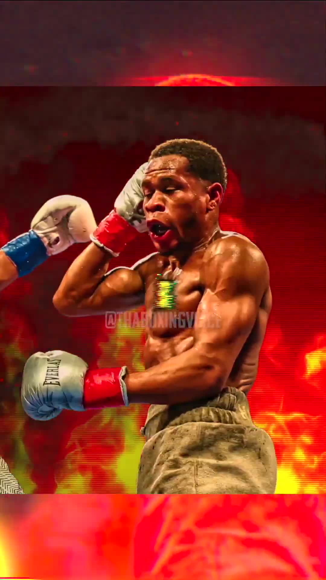 FLOYD MAYWEATHER AS THE COMEBACK FIGHT FOR HANEY? WHAT DO YOU THINK OF ...