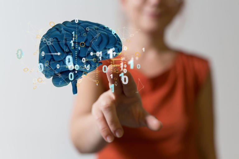 The brain's cerebellum may ease alcohol withdrawal symptoms