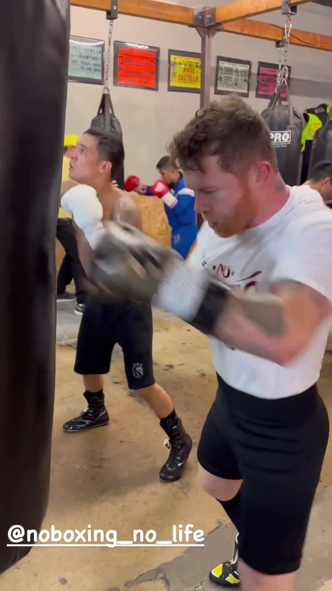 Canelo back in the gym doing heavy bag drills, but who is next?