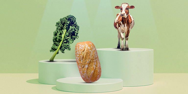 I’m a registered dietitian. Here's my take on the controversial new ...