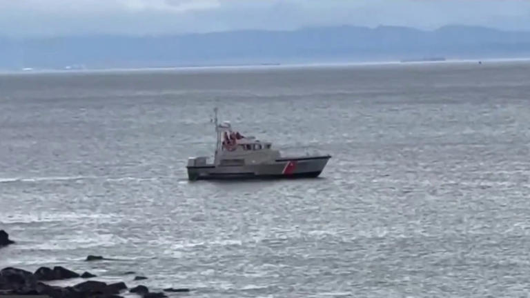 Confirman que ataque de tiburón fue la causa de la muerte de nadadora ...