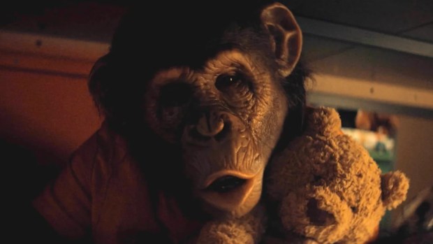 'Primate' review: You'll go apesh-t for this killer chimpanzee movie