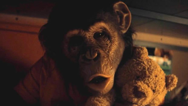 'Primate' review: You'll go apesh-t for this killer chimpanzee movie