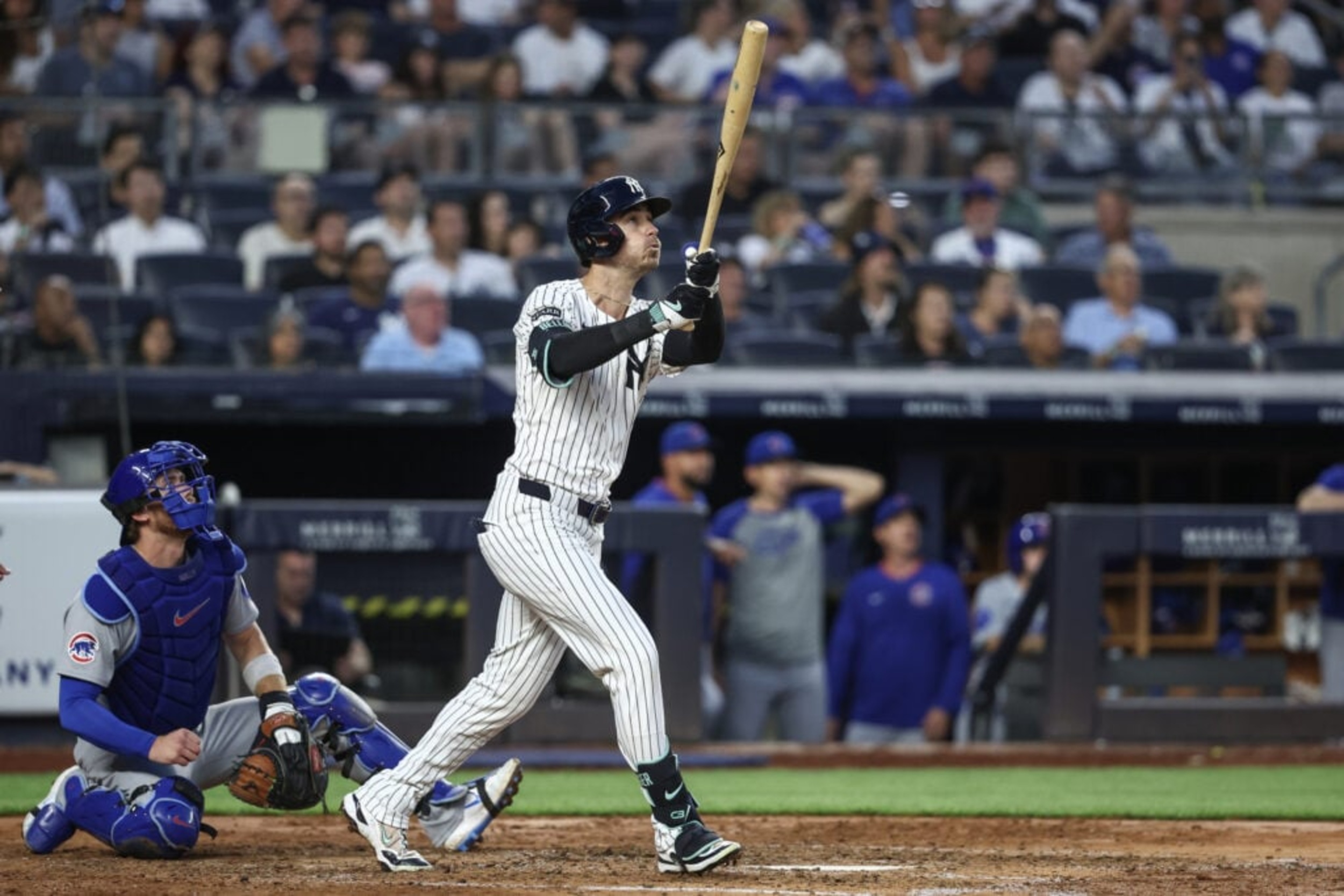 Latest Cubs rumors: Bellinger, Bregman, Bichette sweepstakes