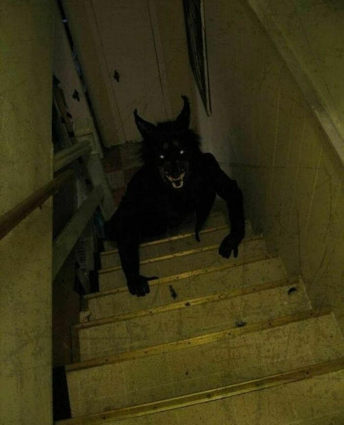 That's odd: 30 eerie photos that are hard to explain