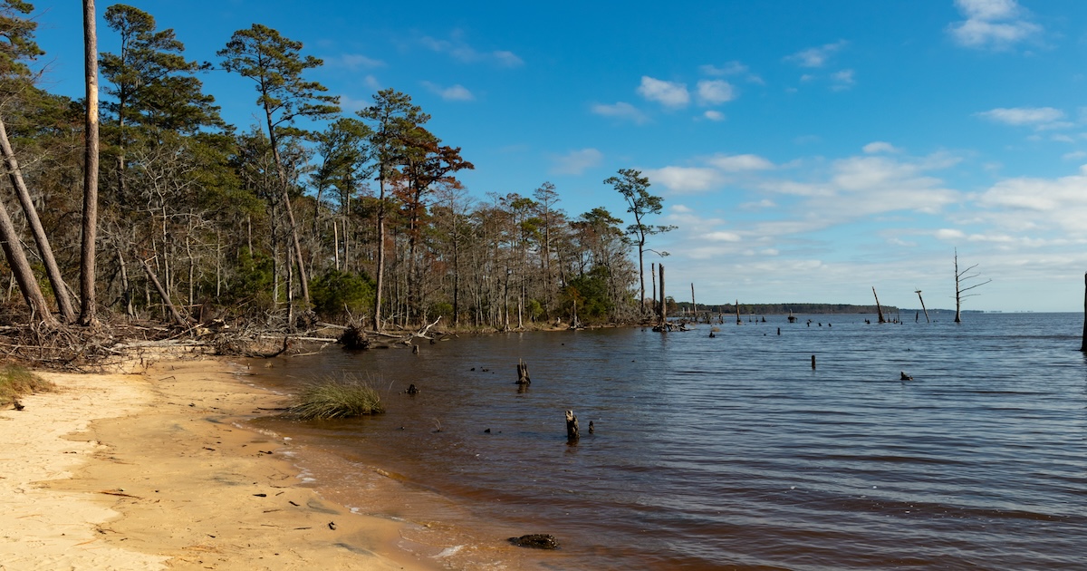 Why winter is this North Carolina state park's secret season