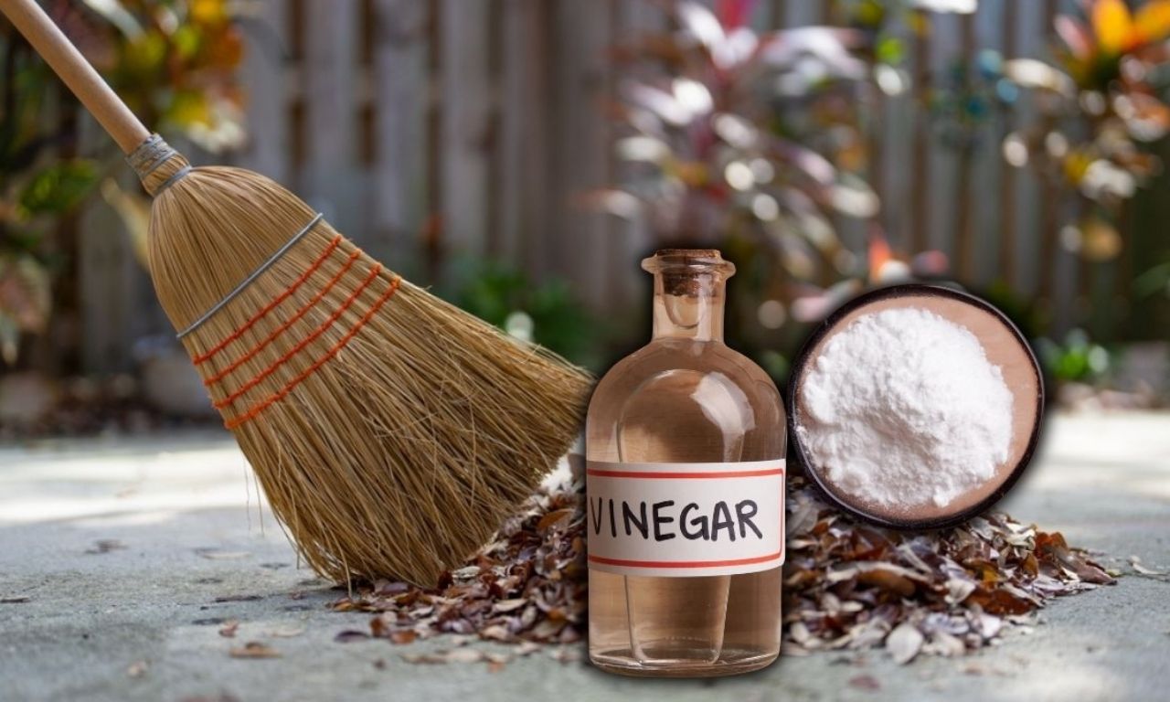 Toma asiento antes de saber porqué debes colocar vinagre y bicarbonato ...