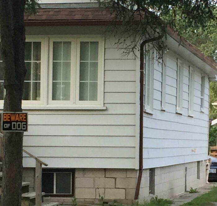 28 photos that look normal at first glance but become hilarious when ...
